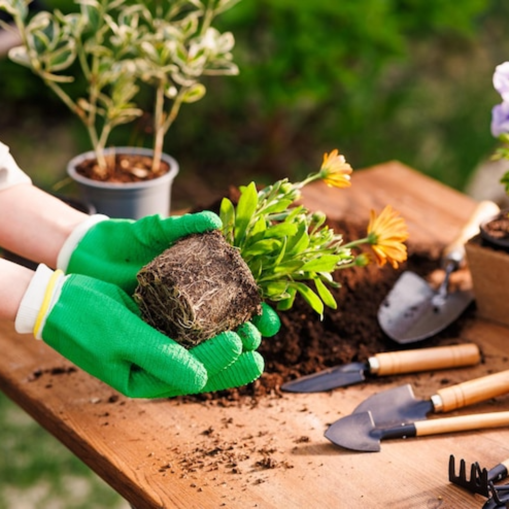 Nest Well Nurtured | Home Essentials, Decor & Kitchenware